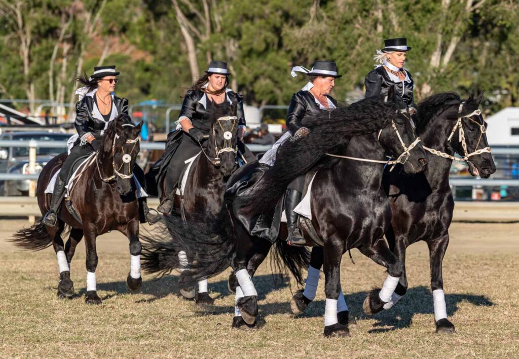 Highlights - Clydesdale Spectacular